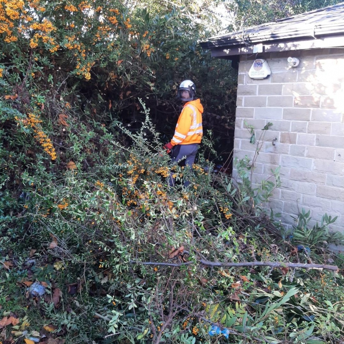 St Stephen’s CE (VA) Primary School - New Composting Area