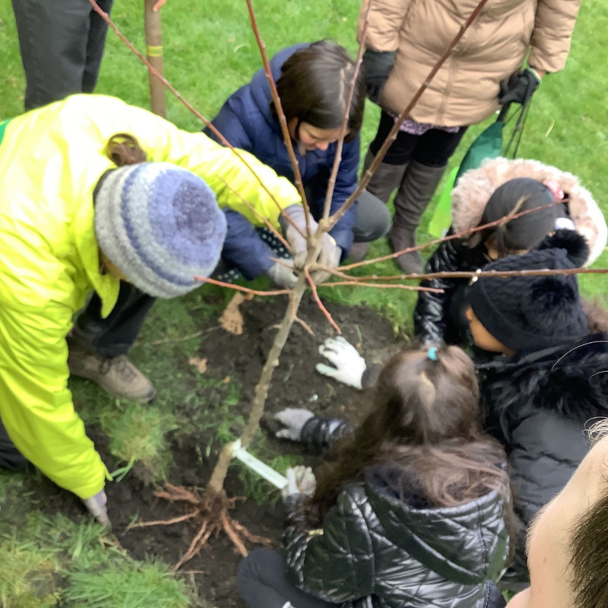 St Stephen’s CE (VA) Primary School - Planting Fruit Trees