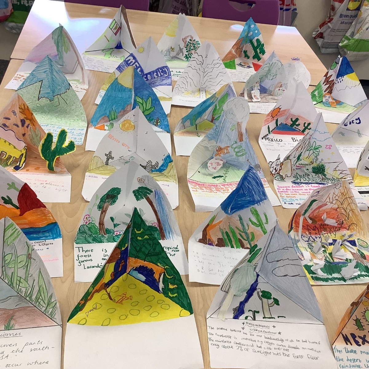 St Stephen’s CE (VA) Primary School - YR 5 Mexican Biomes