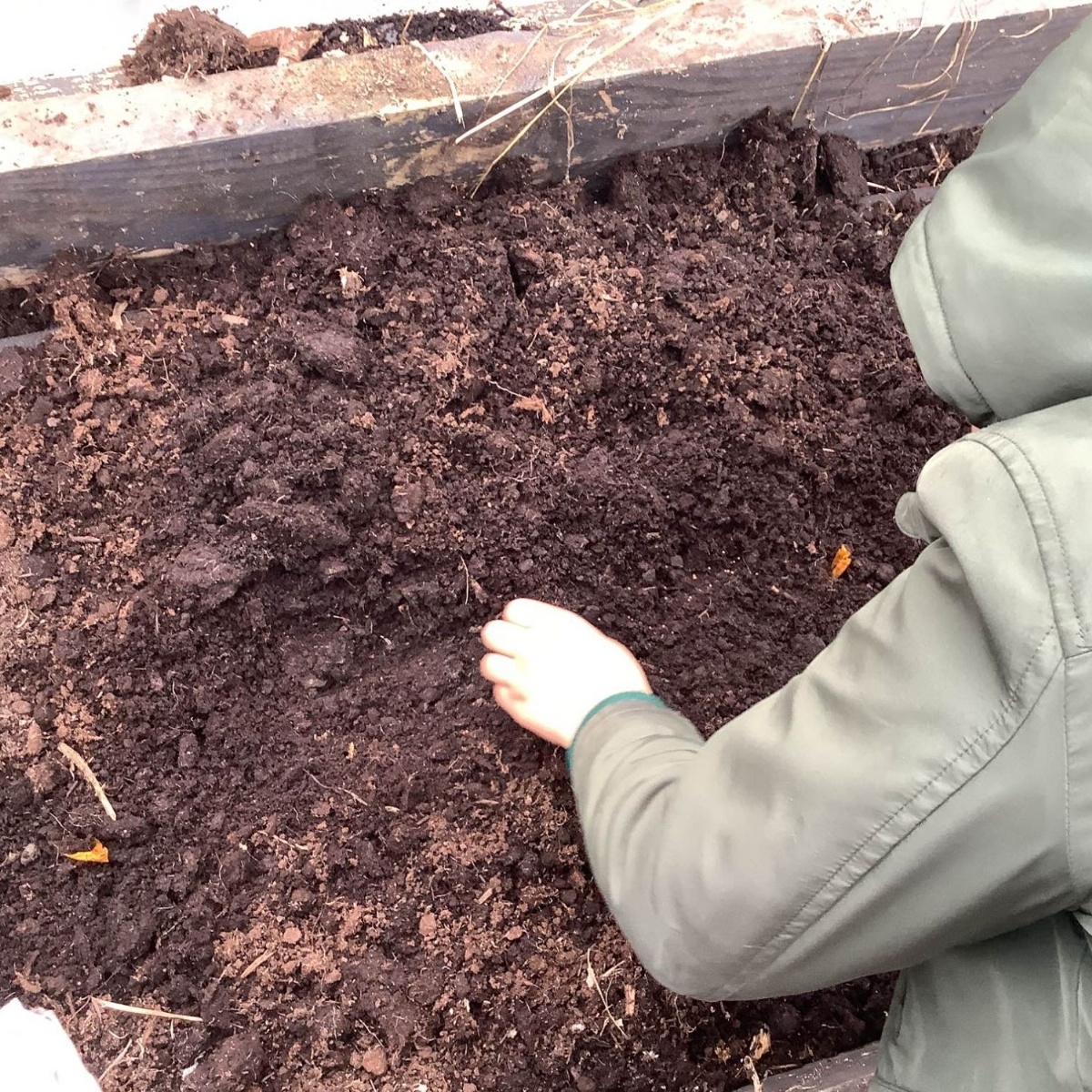 St Stephen’s CE (VA) Primary School - Gardening Club