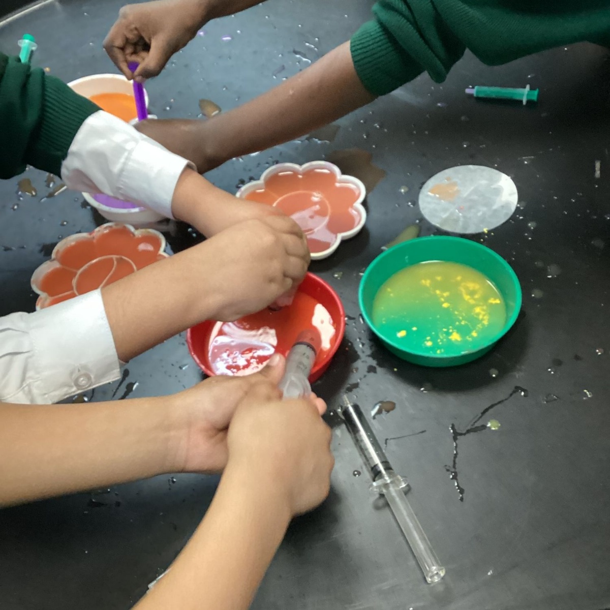 St Stephen’s CE (VA) Primary School - YR 1 Science Week
