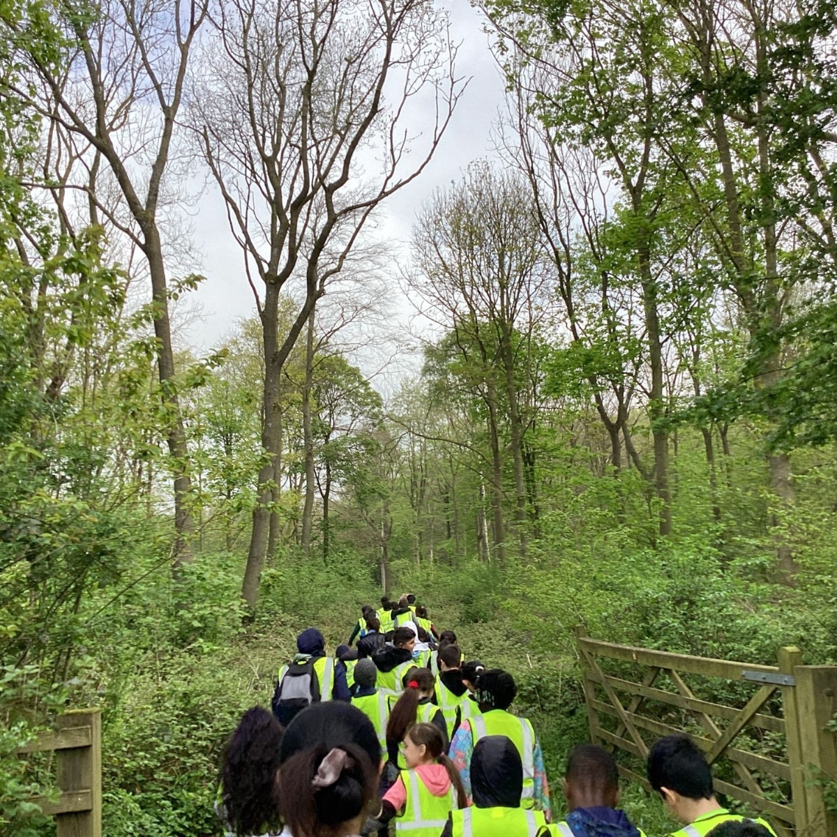 St Stephen’s CE (VA) Primary School - YR 4 Ledston Estate Countryside Day